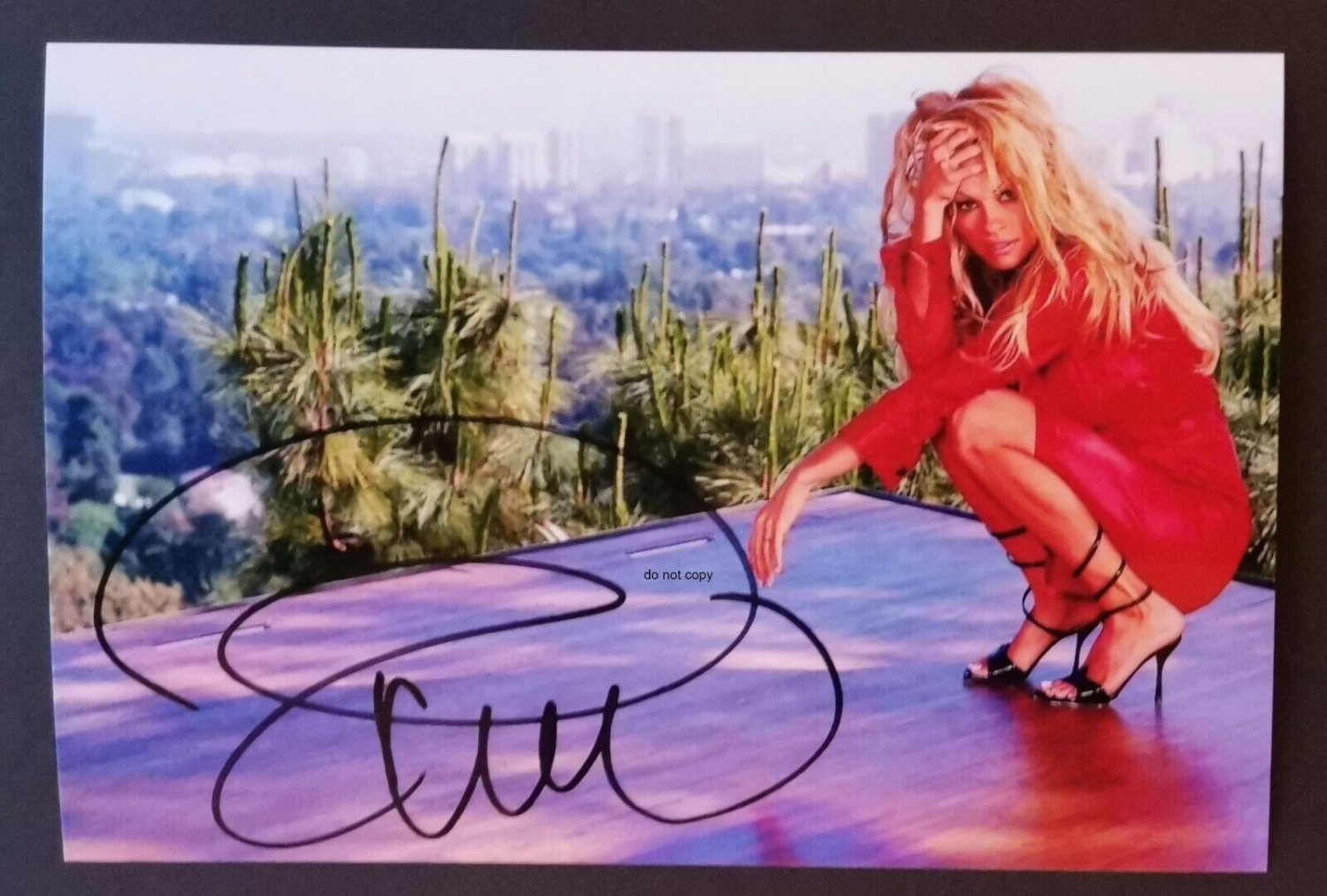 Barb Wire, Pamela Anderson, Movie Theatre Poster 1996