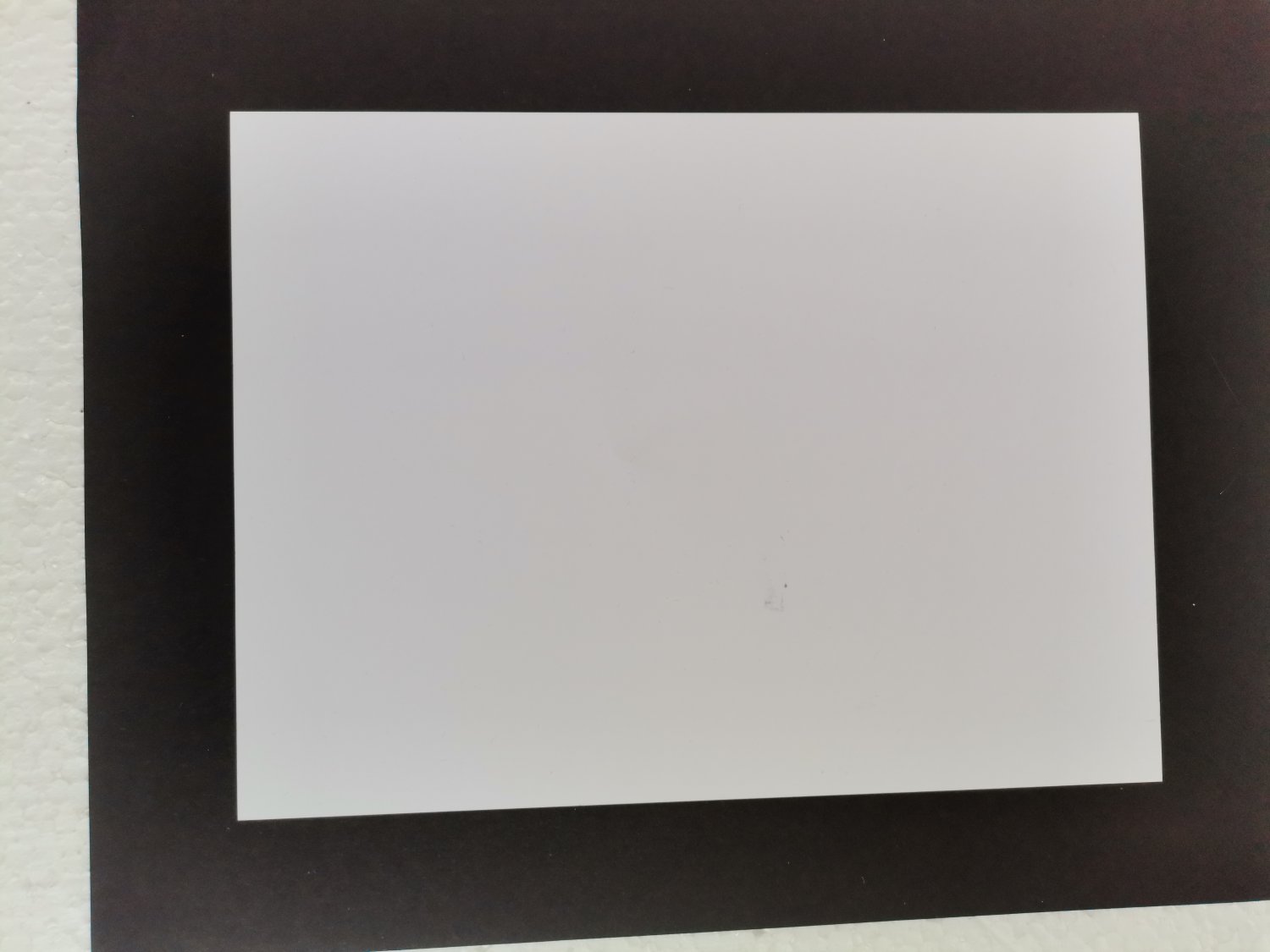 Sade Adu, Signed Autograph Photo