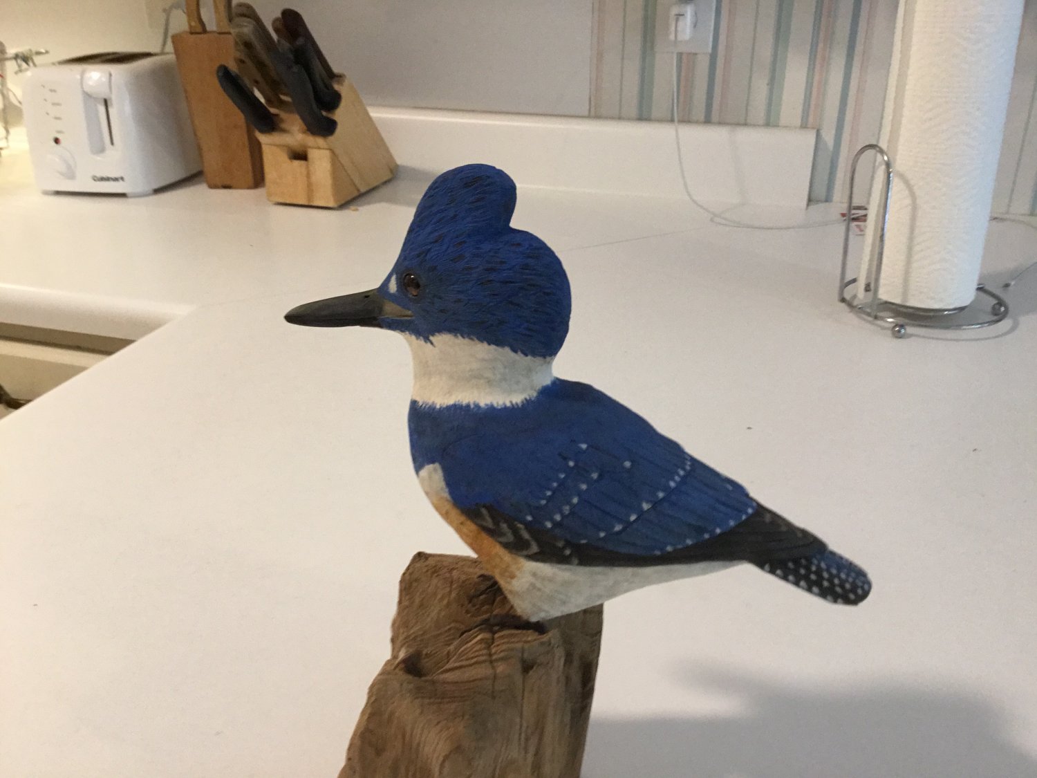 Female belted kingfisher Bird carving