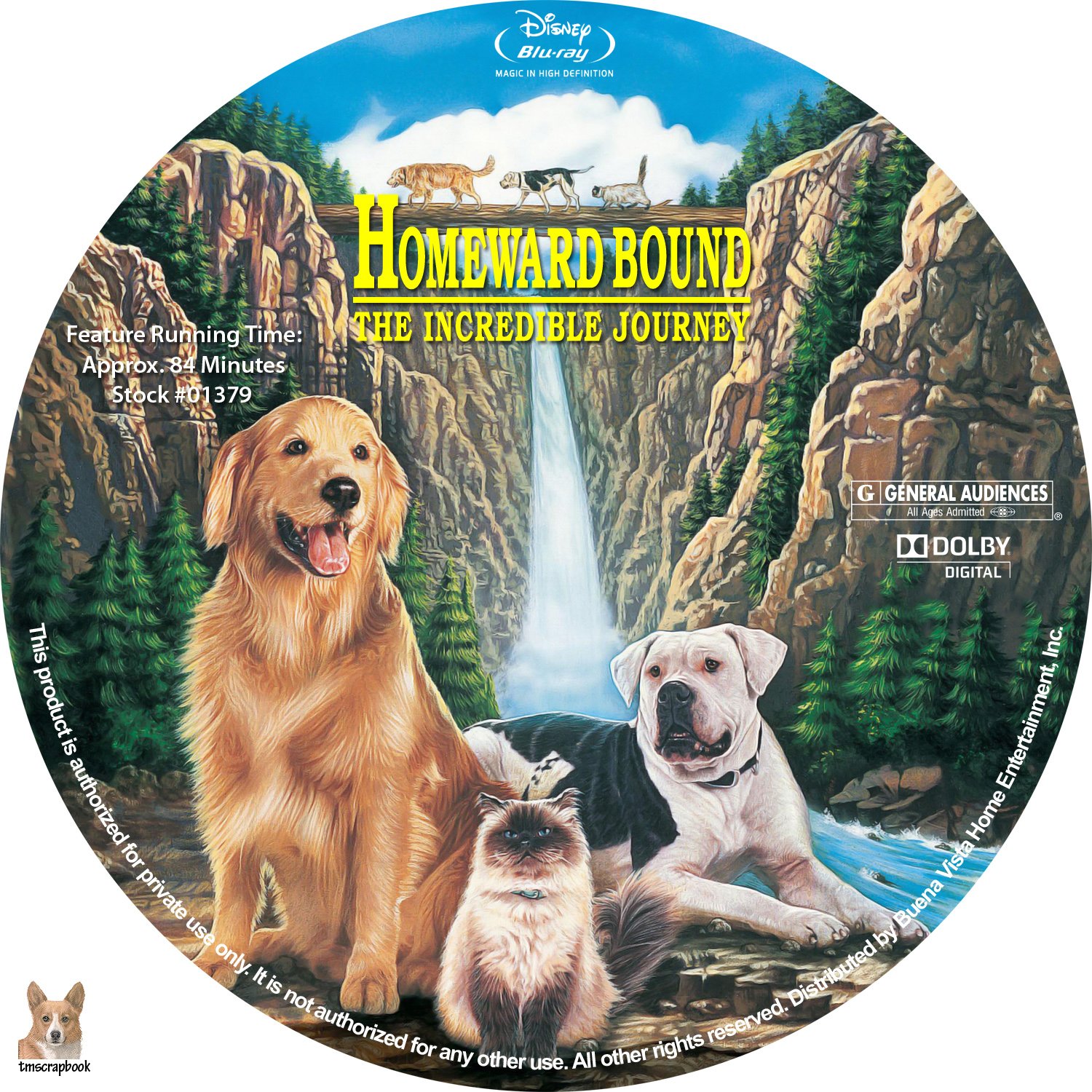HOMEWARD BOUND / INCREDIBLE JOURNEY