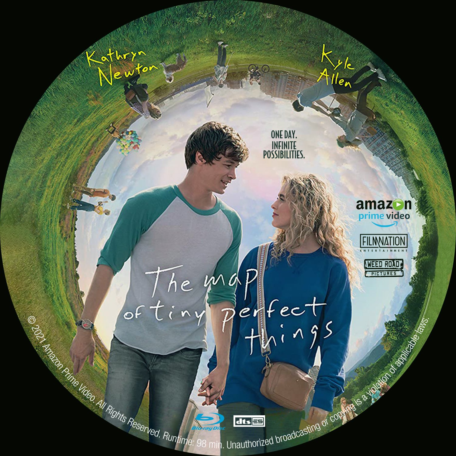 THE MAP OF TINY PERFECT THINGS