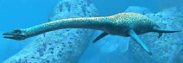 ELASMOSAURUS TOOTH DINOSAUR TEETH FOSSIL SEA FOSSIL LONG NECK EXTINCT ...