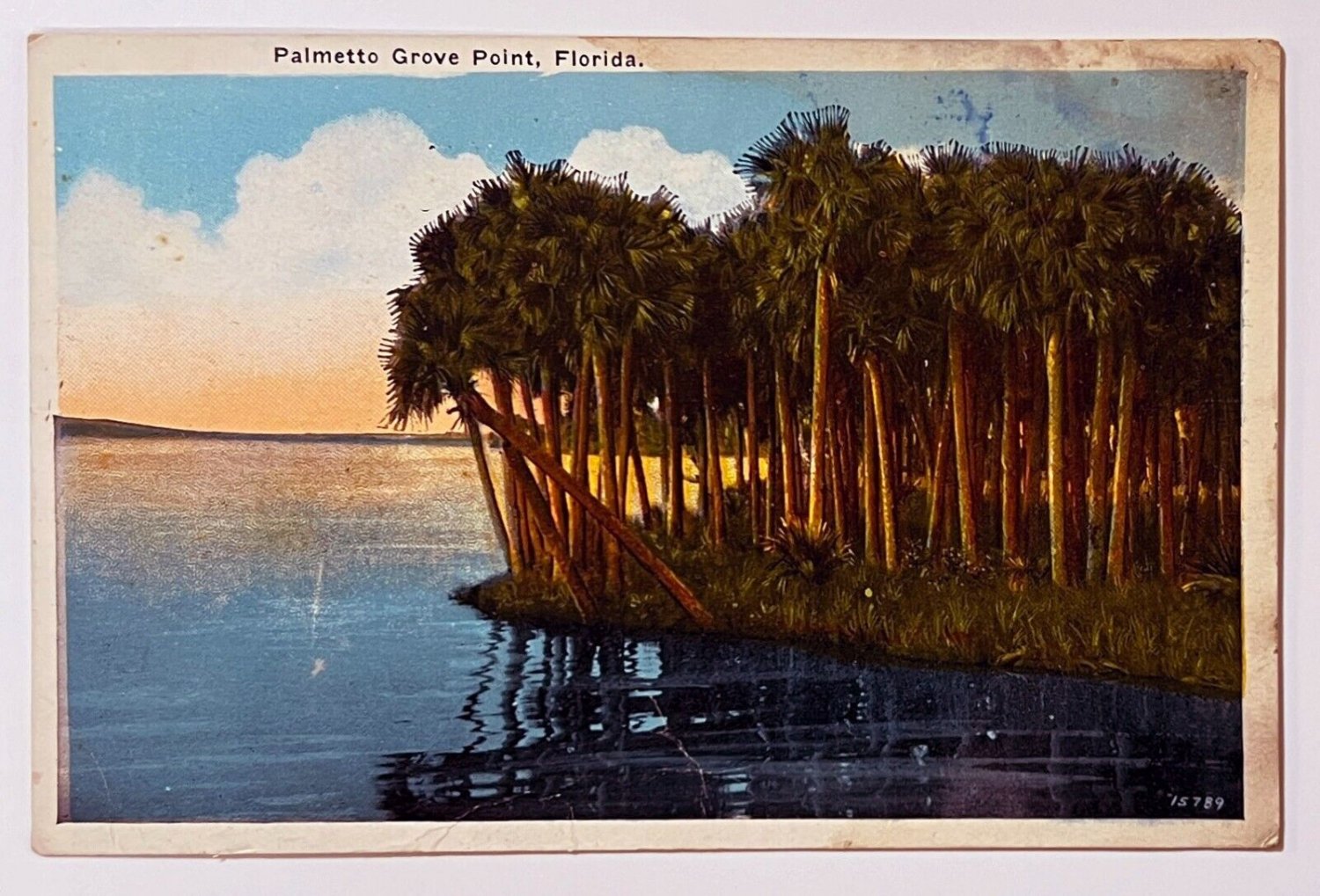 Postcard - Palmetto Grove Pointe in Palmetto, Florida at Sunset, 1924