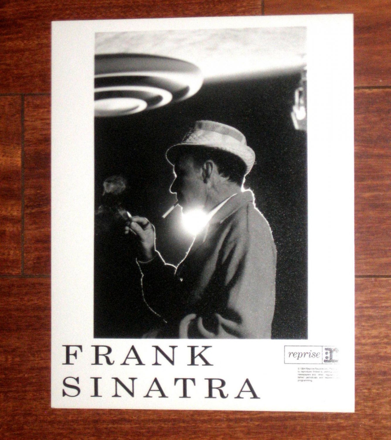FRANK SINATRA Rare 1994 Reprise Promo Only 8x10 Press Publicity Photo