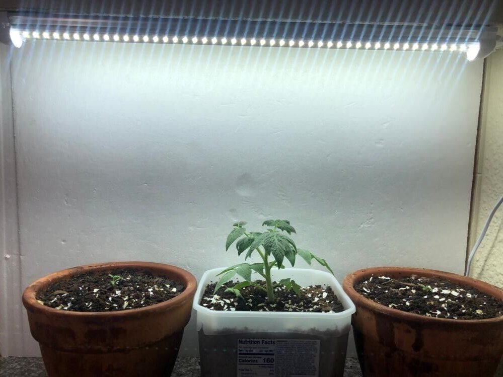 2 Modified LED Lights to Grow Light for All Plants 2FT 20W 6500K ...