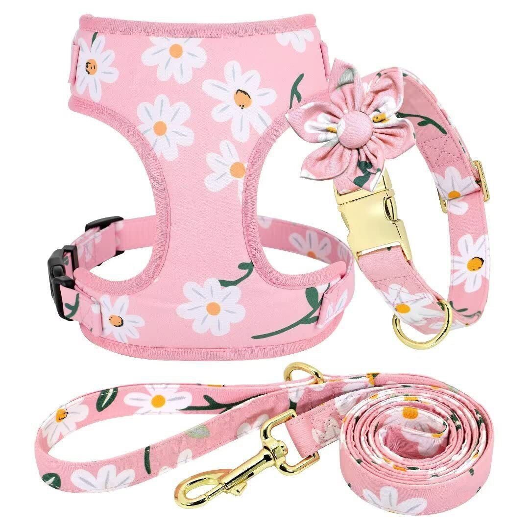 Beirui Cute Girl Dog Collars, Harnesses & Leashes Set - Adjustable Dog ...