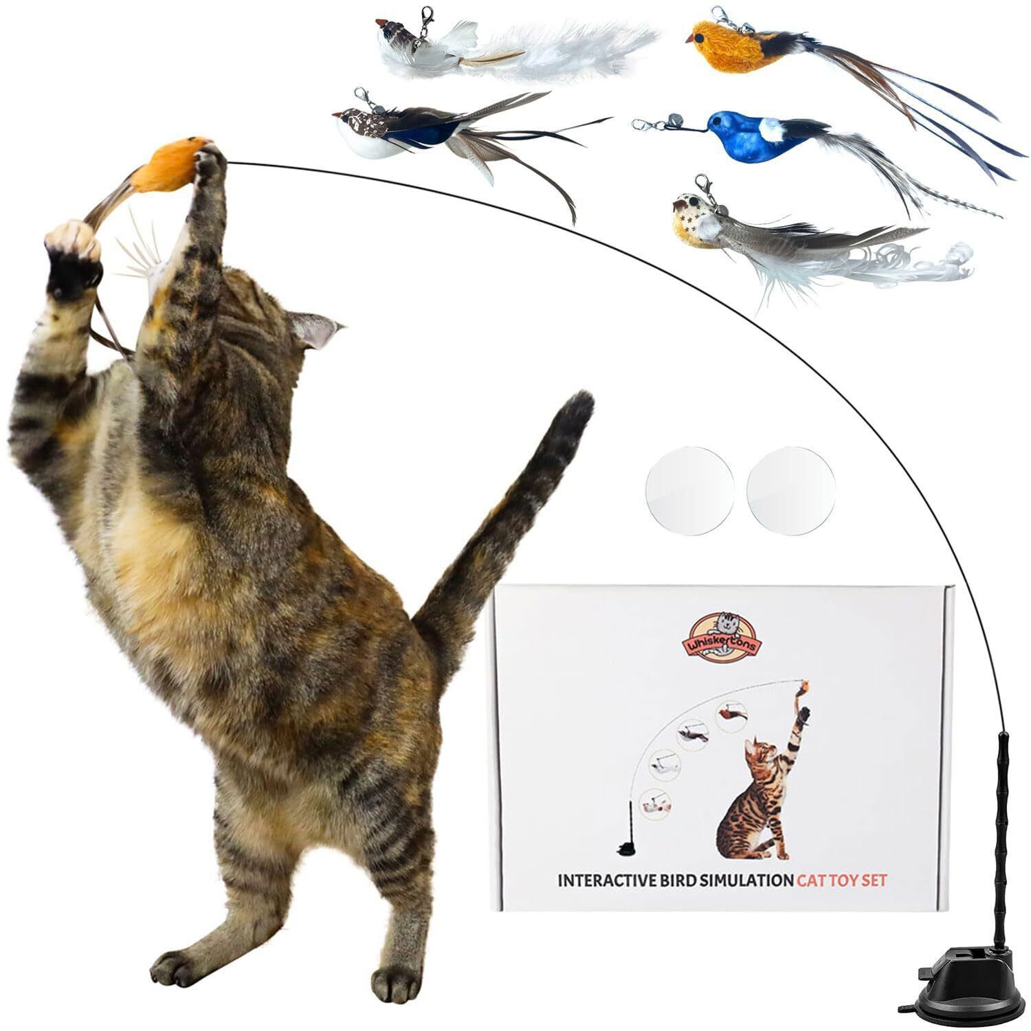 Whiskertons Interactive Bird Simulation Cat Toy Set, Interactive Cat ...