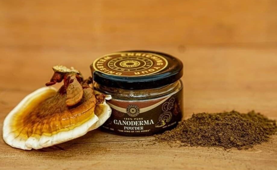 Ceylon Ganoderma Lucidum Powder Mushroom Powder Reishi Spore 100%PURE ...