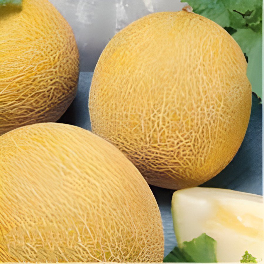 40 Seeds Rare Chinese Sweet Melon Fresh Seeds