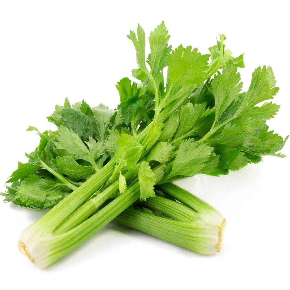 Tall Utah 52/70 Celery 1 gram Seeds (Apium graveolens)