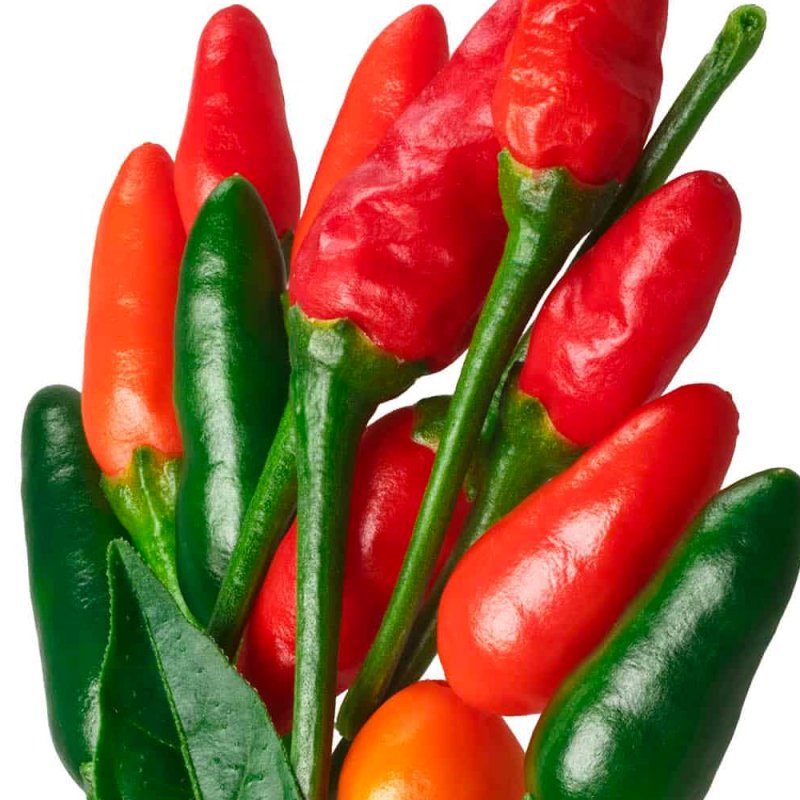 Pepper Hot Chile Piquin 250mg Seeds for planting