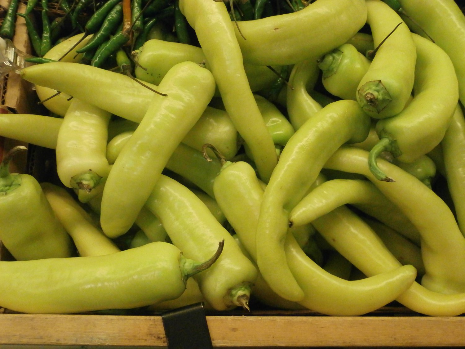SWEET BANANA PEPPER Capsicum annuum 'Sweet Banana' 68 seeds for planting