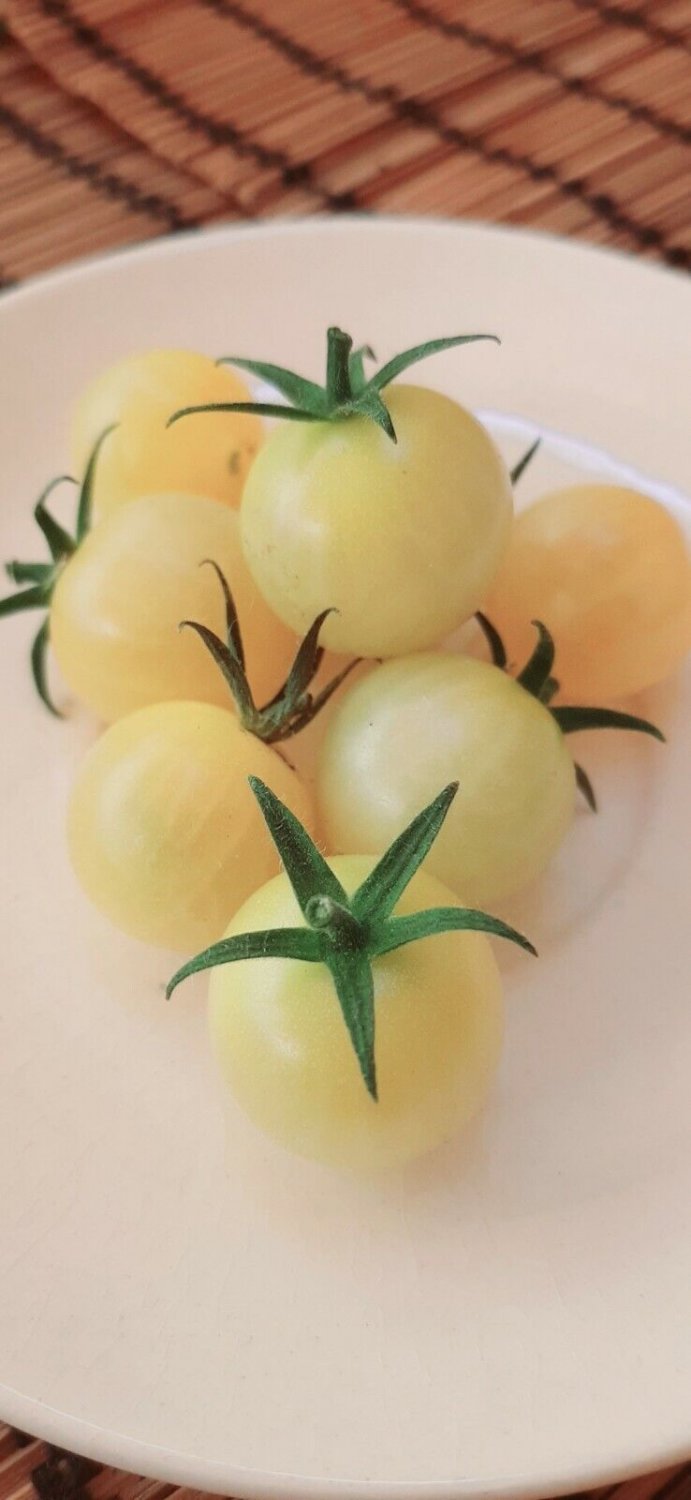 Super Seeds White Cherry Tomato 20 Pcs Garden