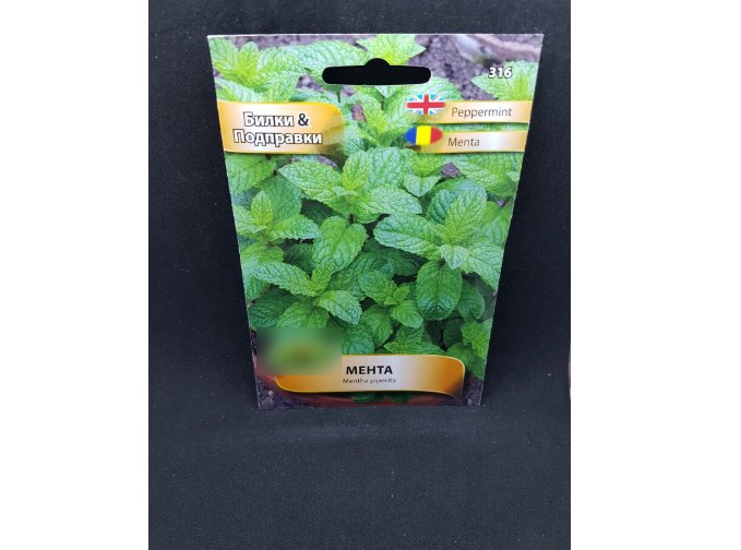 Super Seeds Mentha piperita Garden Mint Peppermint Herb and Spice ...