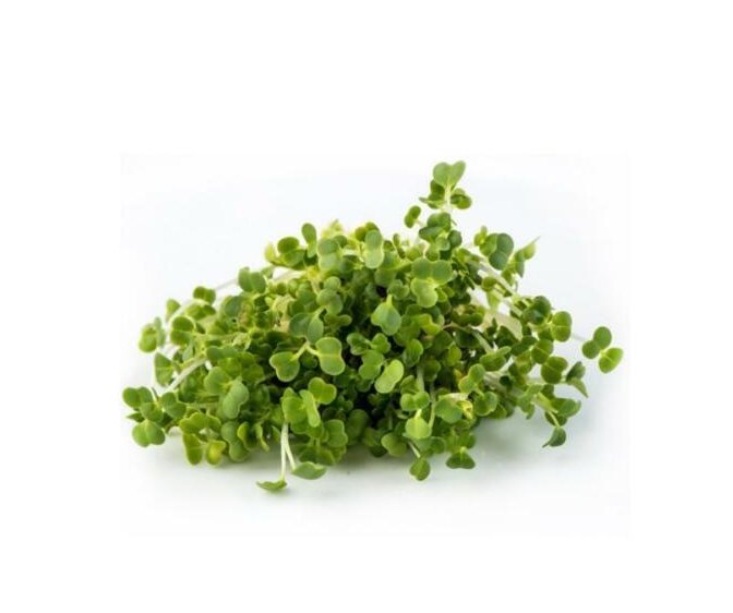 Super Seeds Mizuna Japanese Mustard Green x Microgreens Micro 1000 Pcs