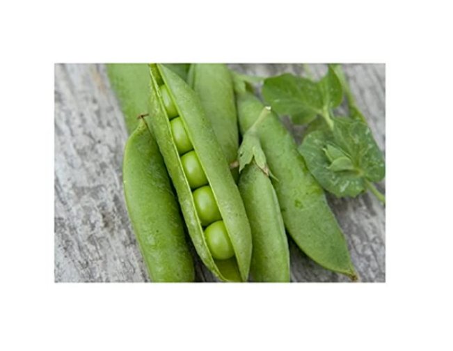 Super Seeds Pea Avola Hardy Early Vegetable Garden 60 Pcs