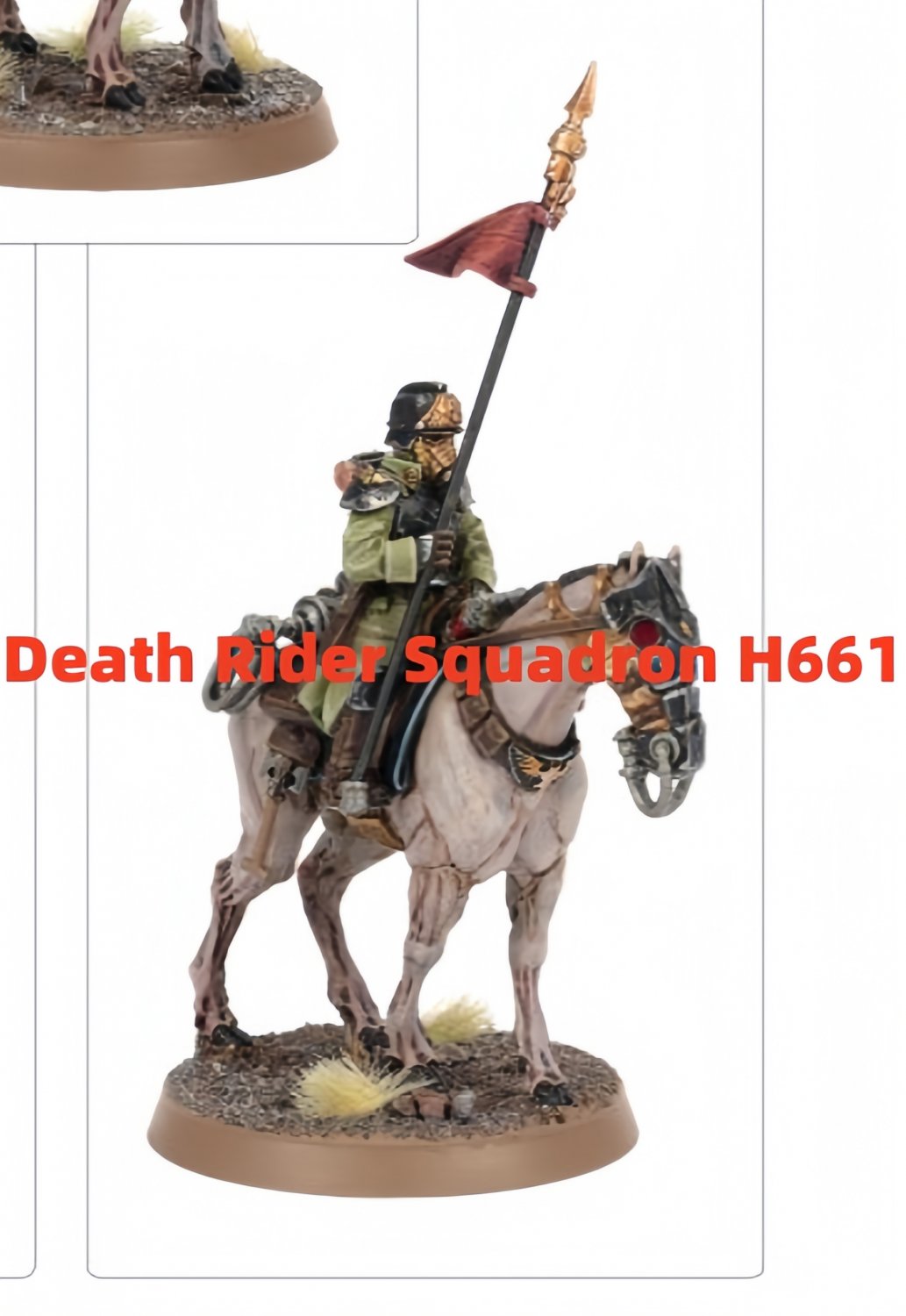 Death Rider Squadron H661