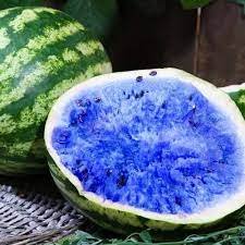 20 PCS Seeds Rare Blue Watermelon Sweet Fruits