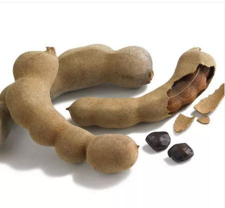 500 PCS Seeds Tamarind Sweet Indian Date Makam Dwarf (Dwarf Tamarindus ...