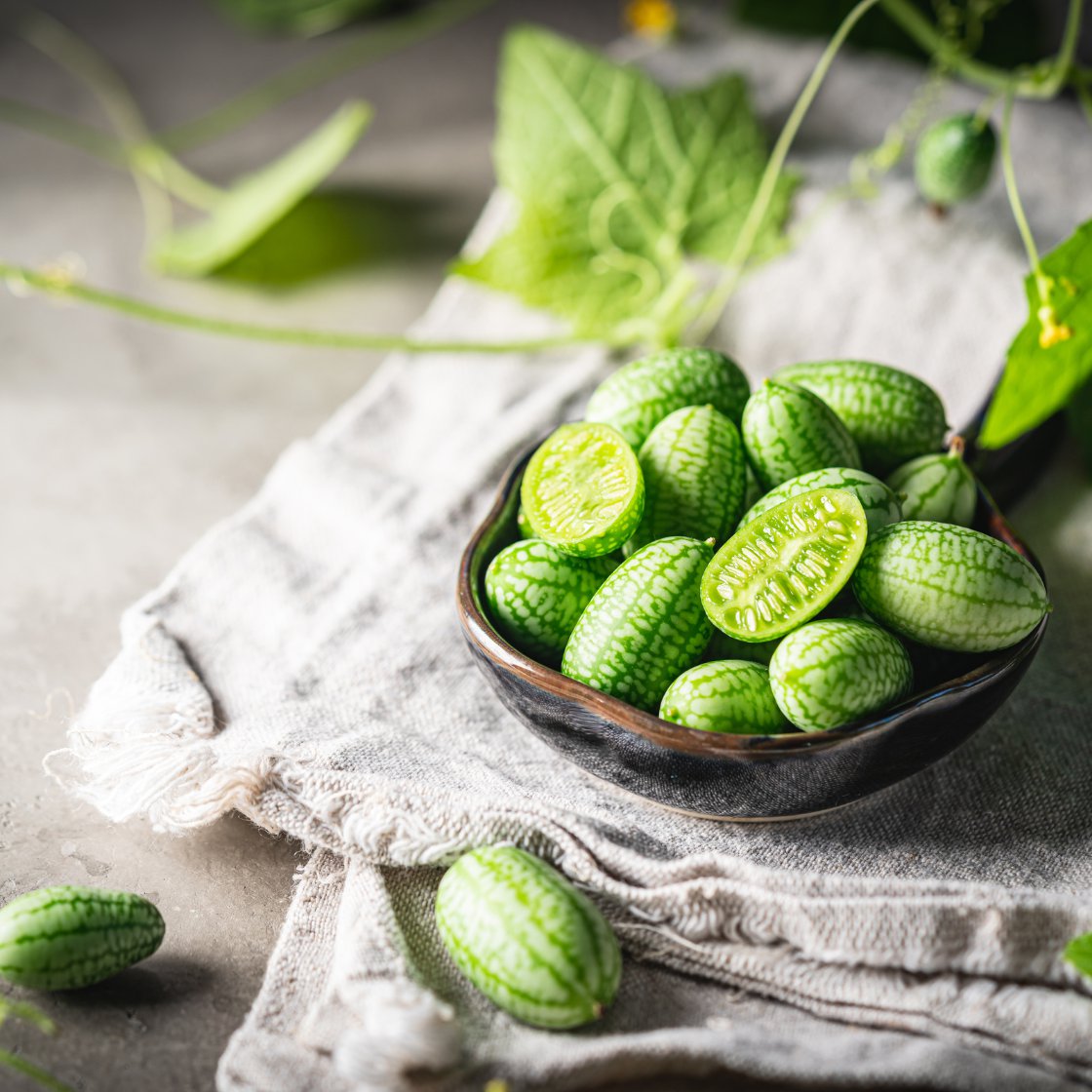 Melothria scabra Cucamelon Mouse Melon 100 PCS Seeds