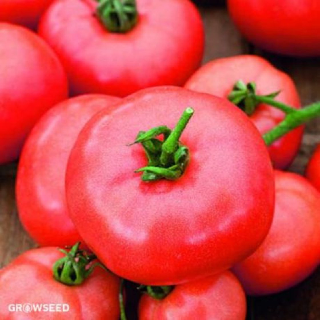 Beefmaster Hybrid F1 Tomato 100 PCS Seeds