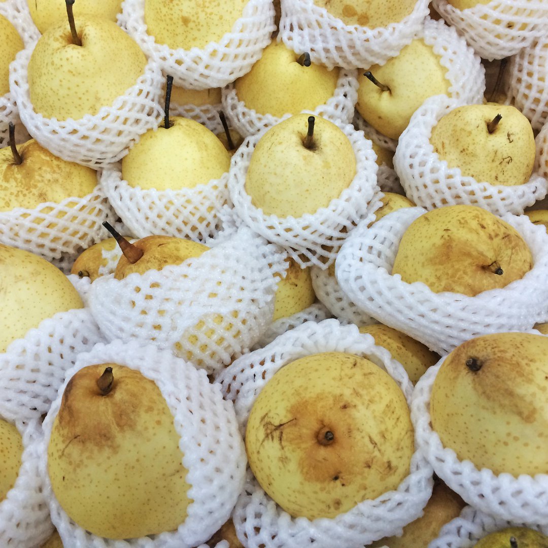 Pear Chinese White Sand Pear 5 PCS Seeds