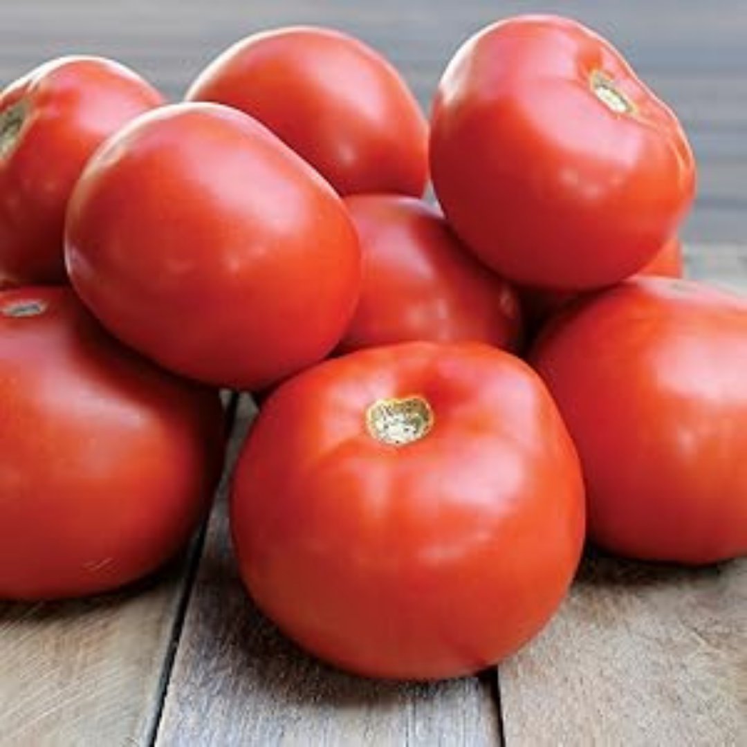 Park's Whopper CR Improved Hybrid Tomato 100 PCS Seeds