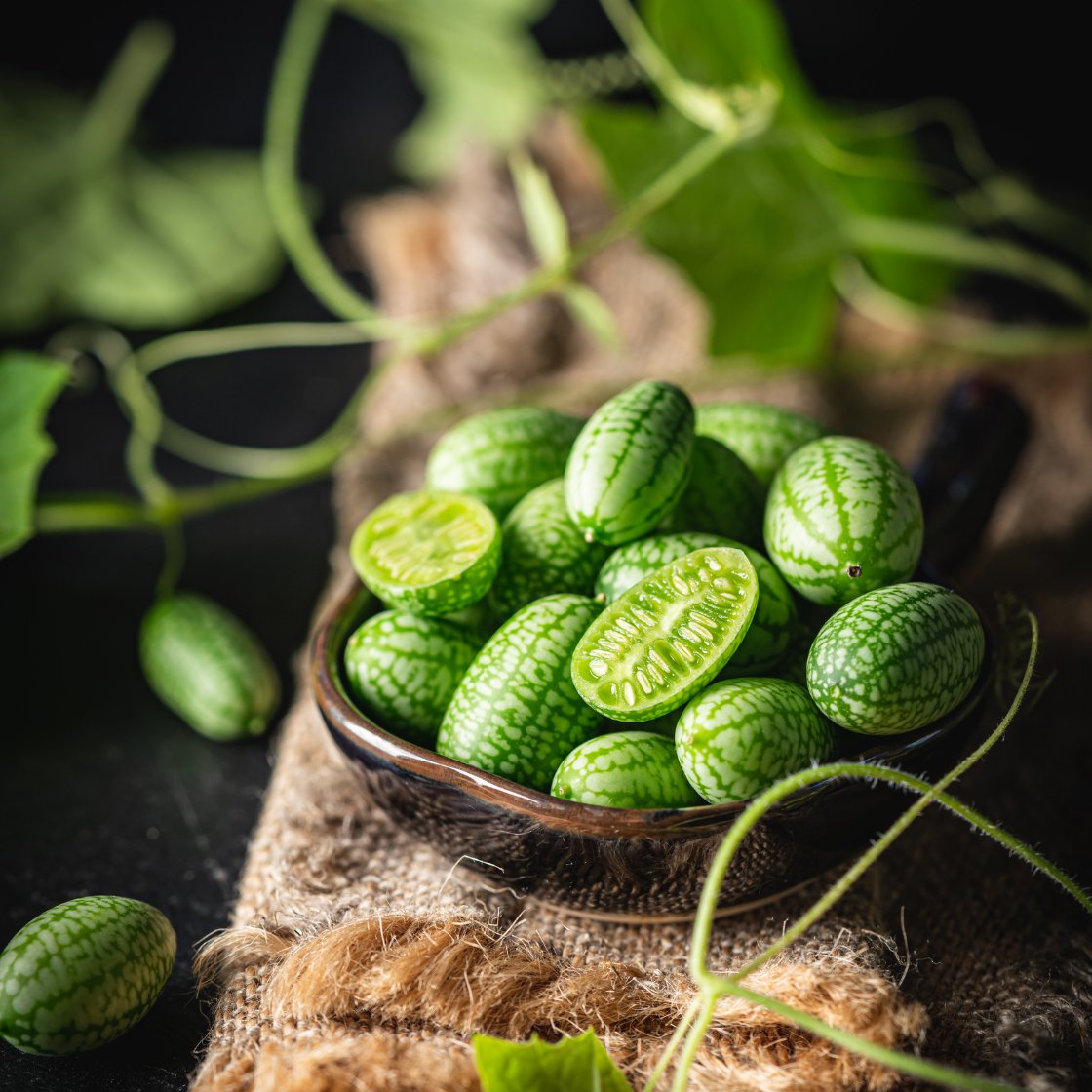 Melothria scabra Cucamelon Mouse Melon - 100 Seeds