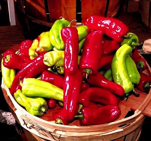 Sweet Cuban Pepper Rare Spring Vegetable Heirloom 50 Seeds Non Gmo Usa ...
