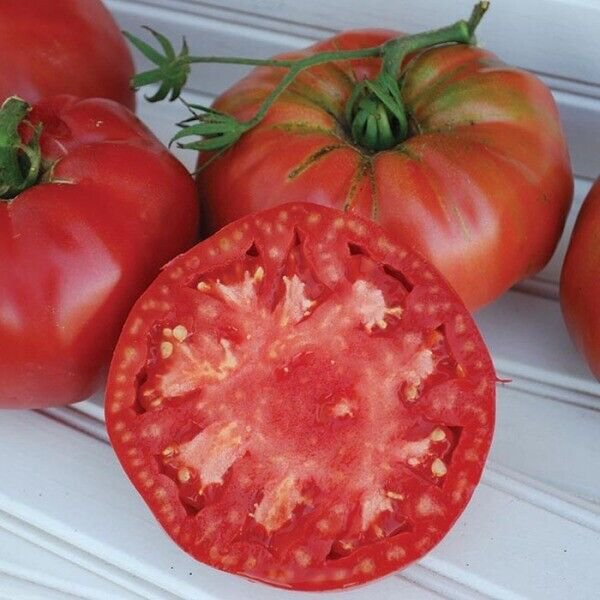 50 Seeds Beefy Boy Tomato Hybrid Vegetable Planting Tomatoes Fresh Home ...