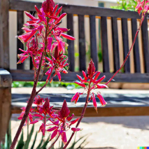 20+ Red Yucca Seeds (Hesperaloe Parviflora) Hummingbird & Butterfly ...