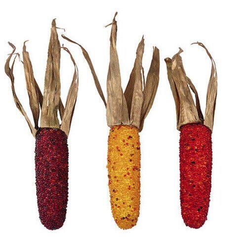 Darice Harvest Faux Corn: 2 x 8 inches, 3 Assorted Colors w