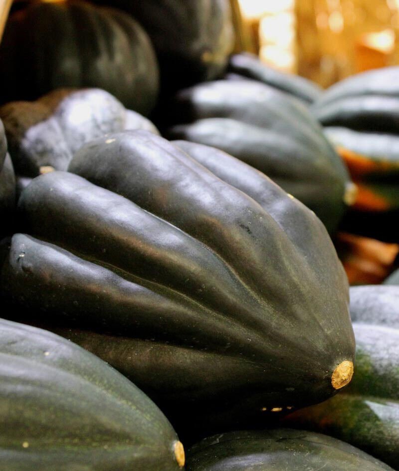 Table Queen Acorn Winter Squash Seeds, NON-GMO, Variety Sizes, FREE ...