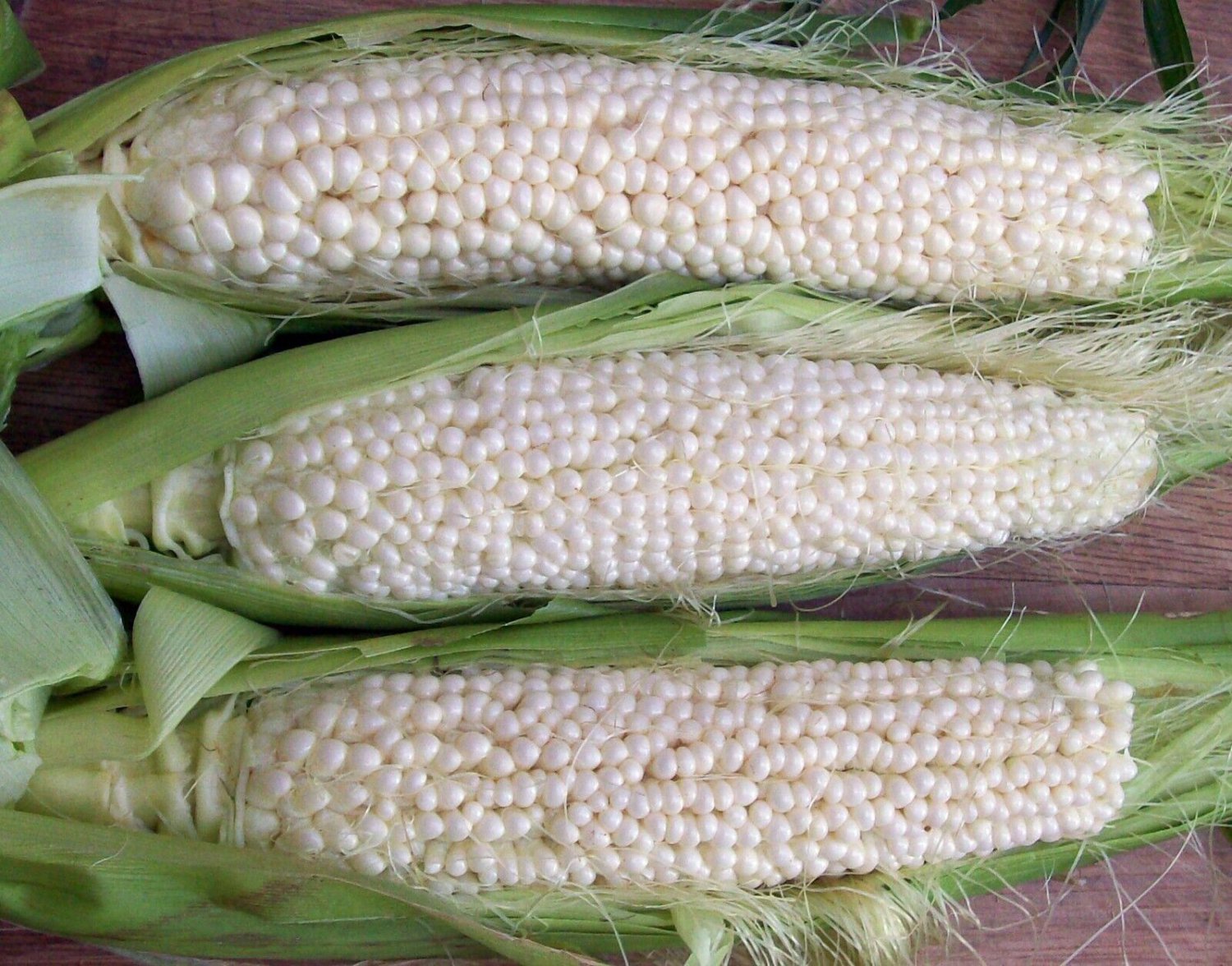 Country Gentleman Sweet Corn Seeds, White Shoepeg Corn, Heirloom, FREE ...
