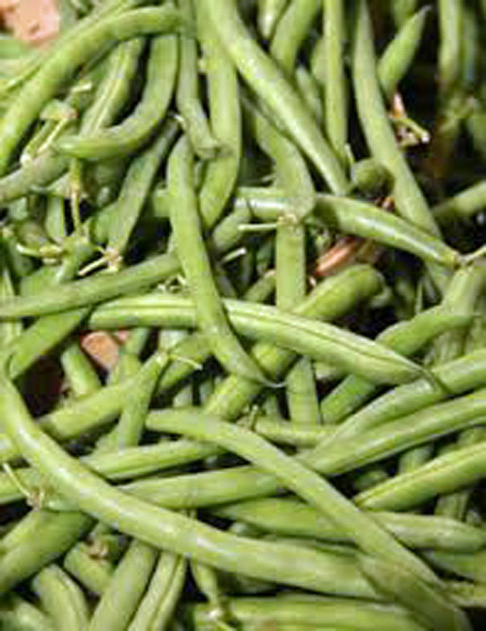 Burpee Stringless Green Bean Seeds, NON-GMO, Variety Sizes Sold, FREE ...