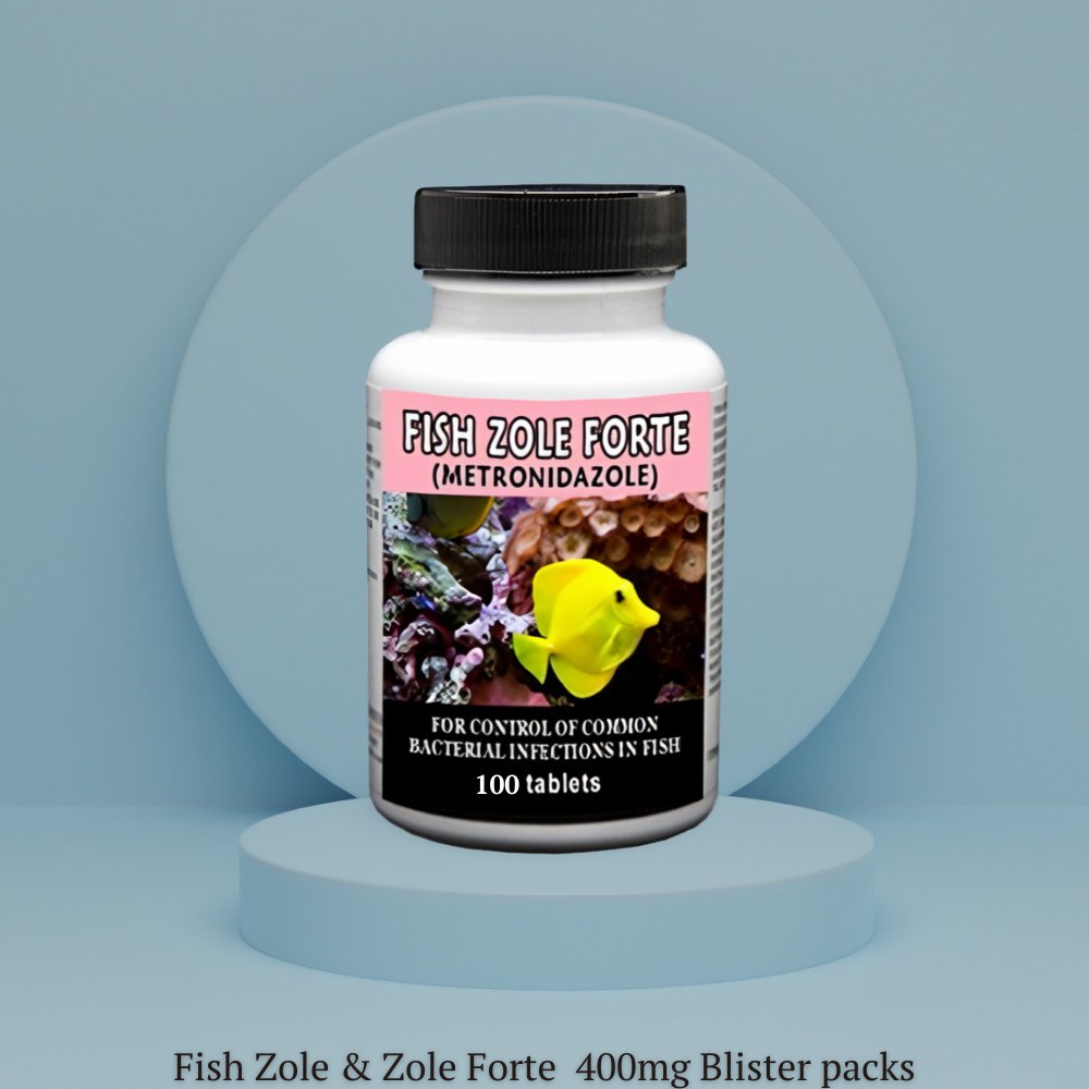 Fish Zole & Zole Forte & 400mg - Effective Fish Health Blister Packs