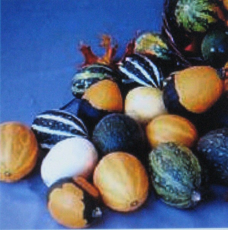 30 US SEEDS GOURDS LARGE SMALL MIX
