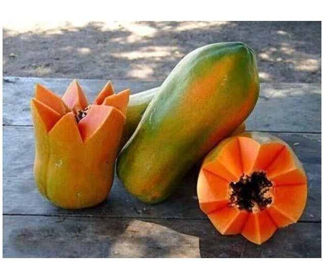 15 US Seeds Big Fruit Meradol Caribbean Red Sunrise Papaya Plant