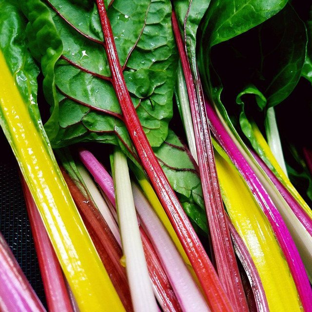 RAINBOW BEET SWISS CHARD EDIBLE VEGETABLE 25 AU SEEDS