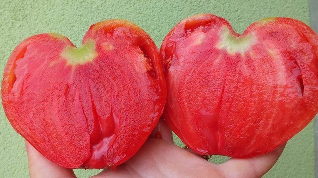 Pink Tomato Oxheart 25 AU seeds Heirloom Vegetables Tomatoes Summer