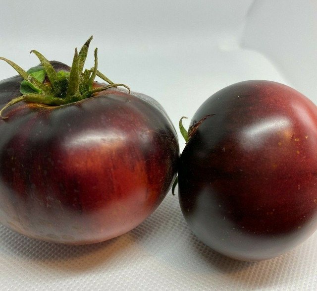 BLUE BEAUTY Tomato 10 AU Seeds Organic Heirloom Rare Tomatoes Unique