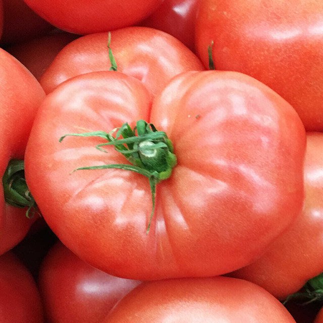 German Johnson Tomato 50 US Seeds Ct Vegetable HEIRLOOM