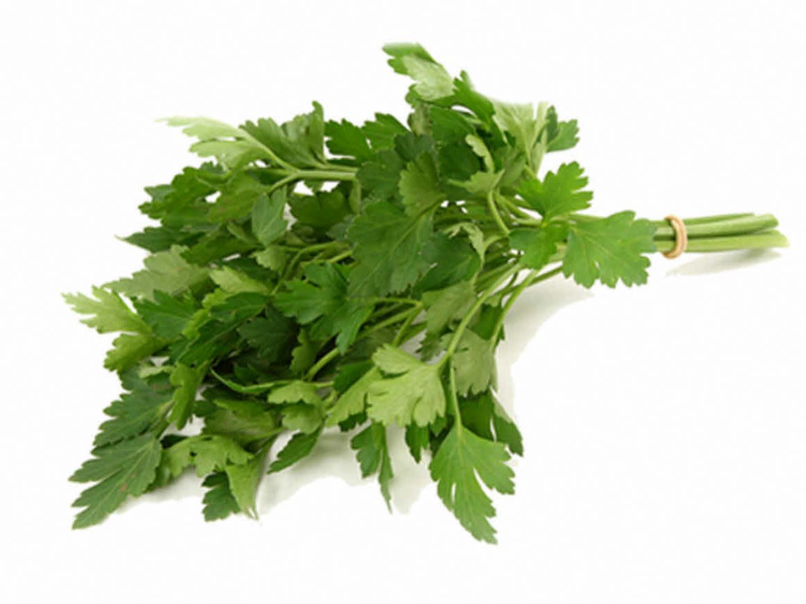 100 Parsley Seeds, Italian Giant Flat Leaf, Heirloom Herbs, Non-Gmo Spice