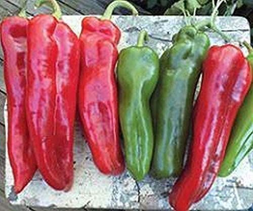 Giant Italian Roaster F1 Hybrid Sweet Pepper Seeds Fresh
