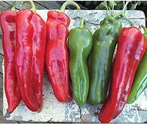 Giant Italian Roaster F1 Hybrid Sweet Pepper Seeds 25+ Seed Package Fresh