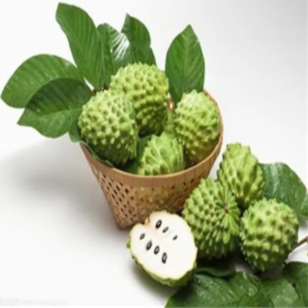 10 Seeds Sweetsop Fruit Custard Apple Buddha's Head Fruits Cherimoya ...