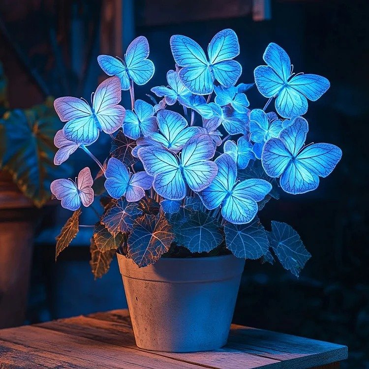 50 Seeds Moonlight Butterfly Begonia - Blue Neon