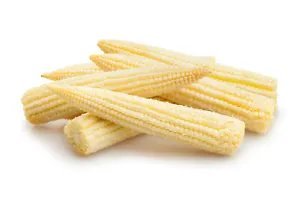 75 Japanese White Hulless Popcorn Baby Corn Zea Mays Heirloom Vegetable ...