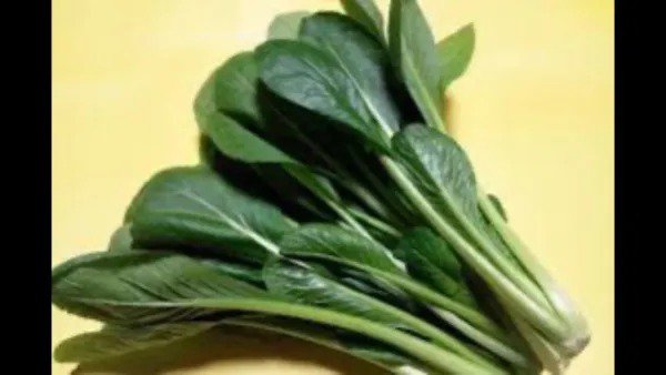 Fresh 2000+ Komatsuna Japanese Mustard Spinach Seeds Heirloom Garden