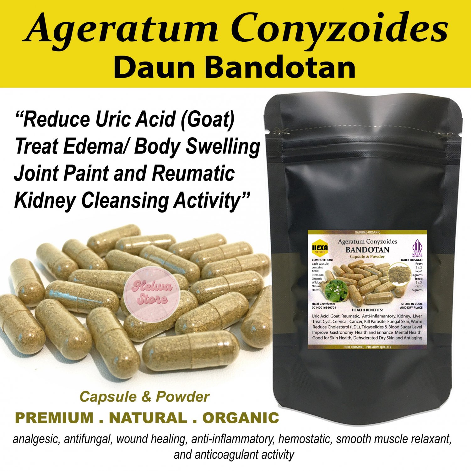 Original BANDOTAN AGERATUM CONYZOIDES Capsule-Natural Organic Herbs 100 ...